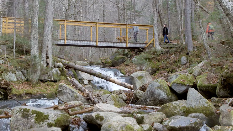 Action transition : se mobiliser pour préserver le sentier de la boucle ...